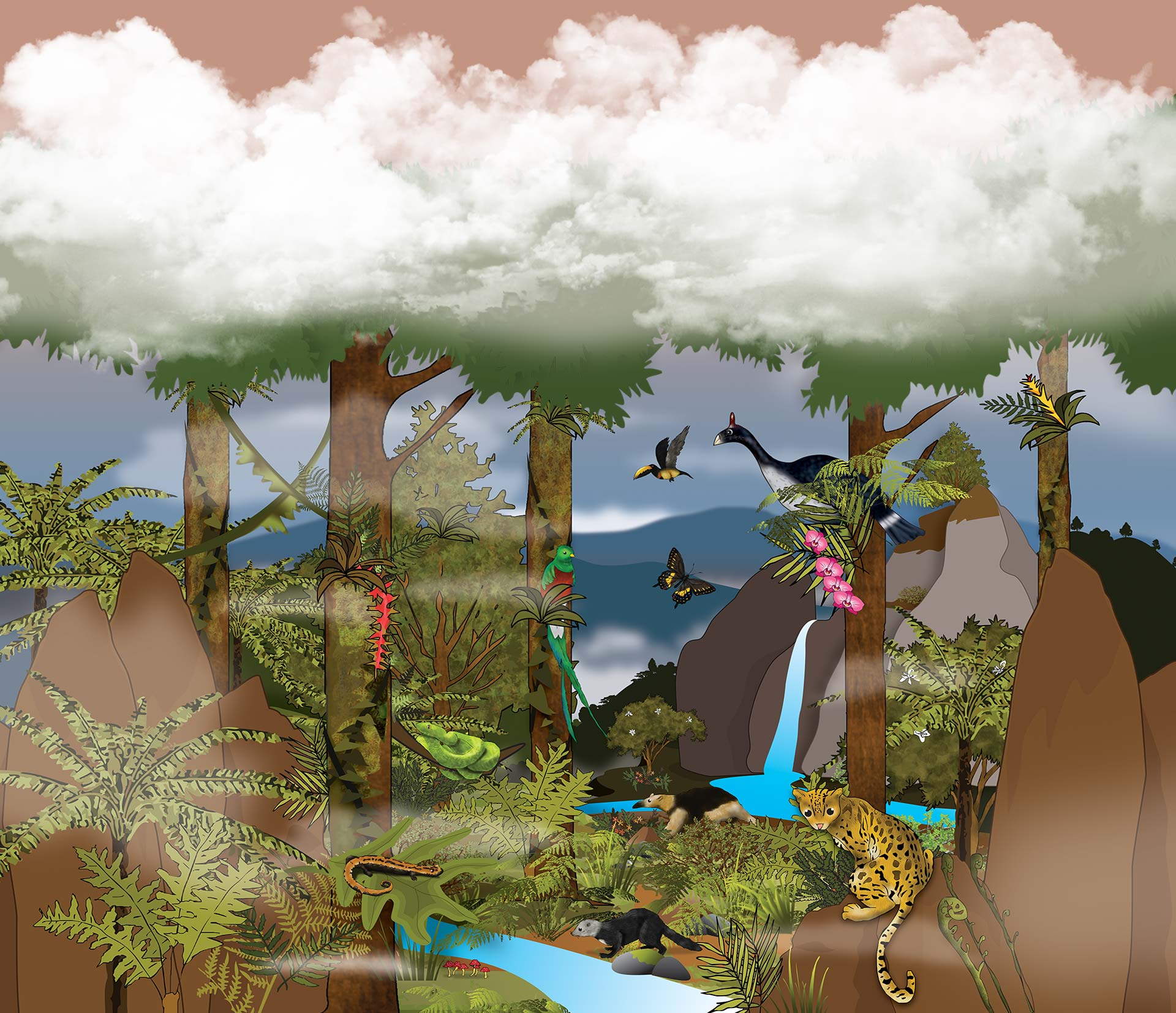 Mexico ecosystems | Conabio