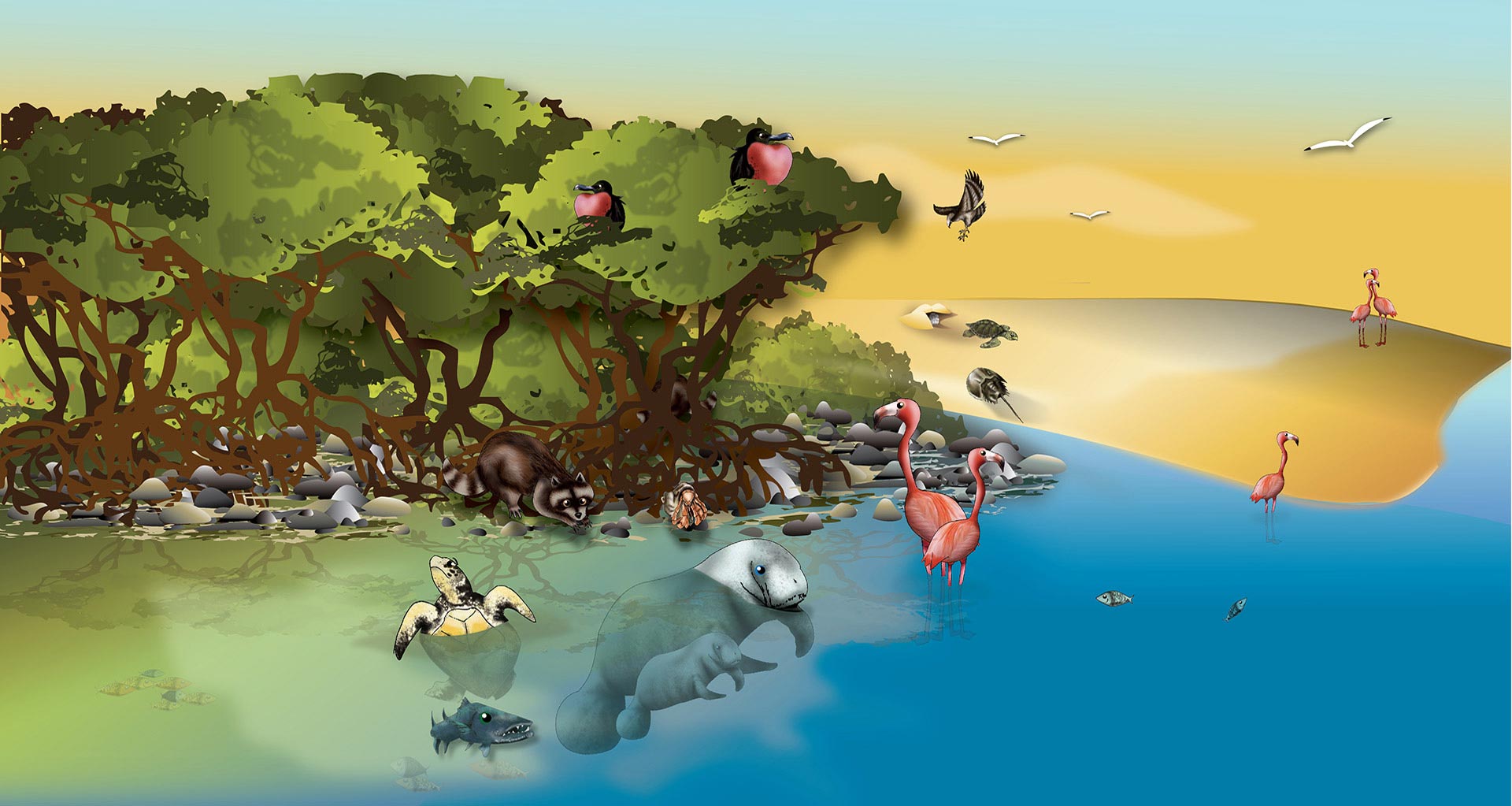 Mexico ecosystems | Conabio