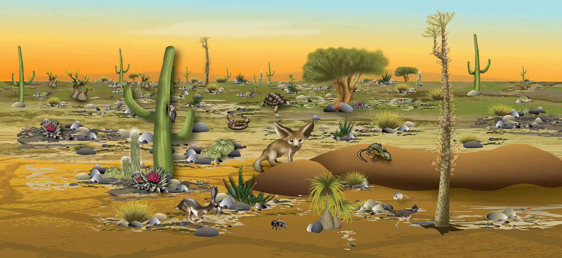 Mexico ecosystems | Conabio